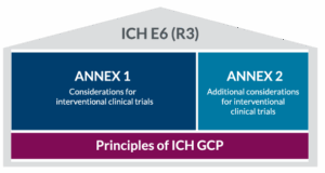Understanding ICH GCP E6 (R3): A New Era for Clinical Trials | Parexel Academy